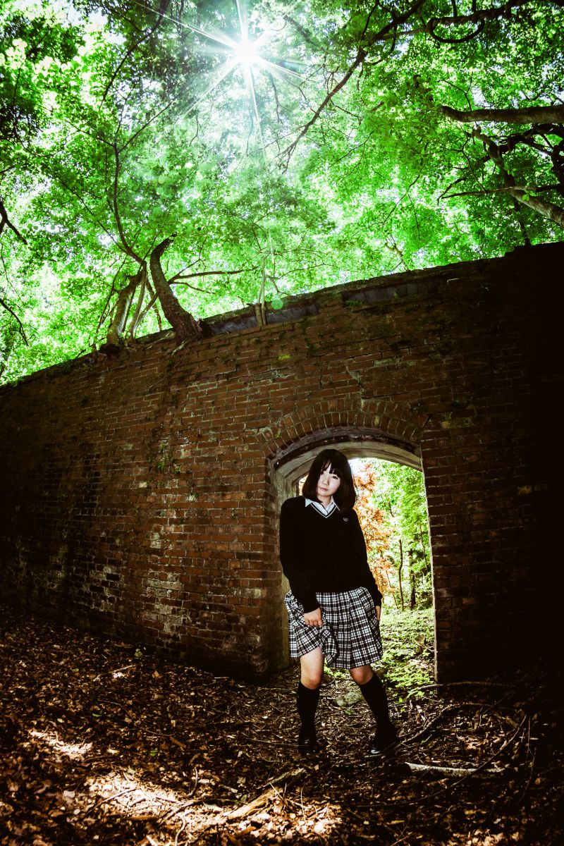 Giving trees, and human | GANREF