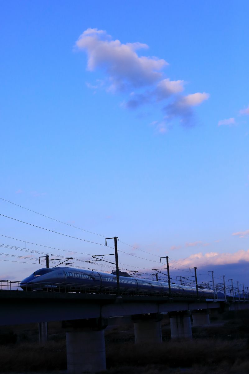 violet moment | GANREF