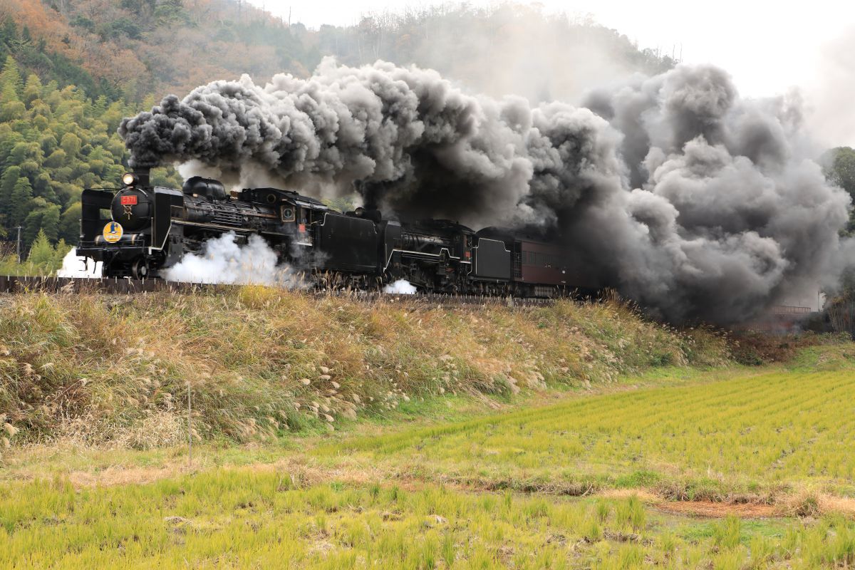 C57+D51重連が行く | GANREF