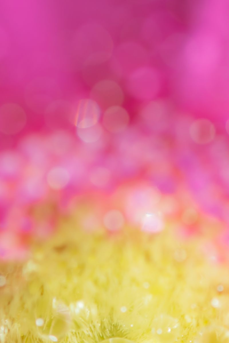 sweet memory | GANREF