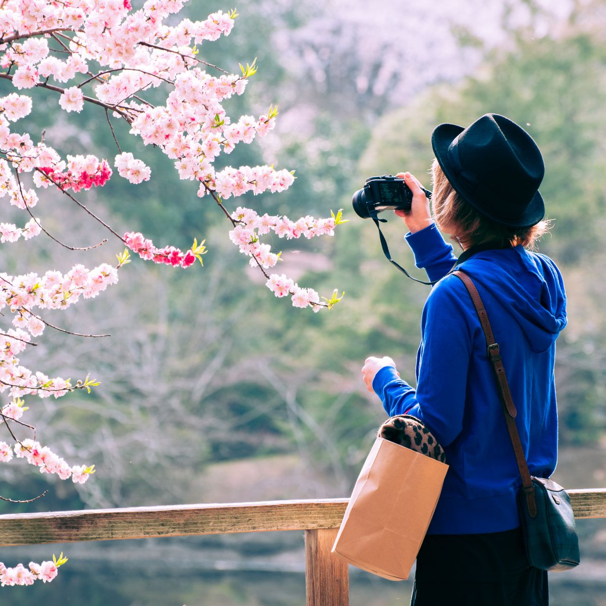 私のフォトスタイル | GANREF