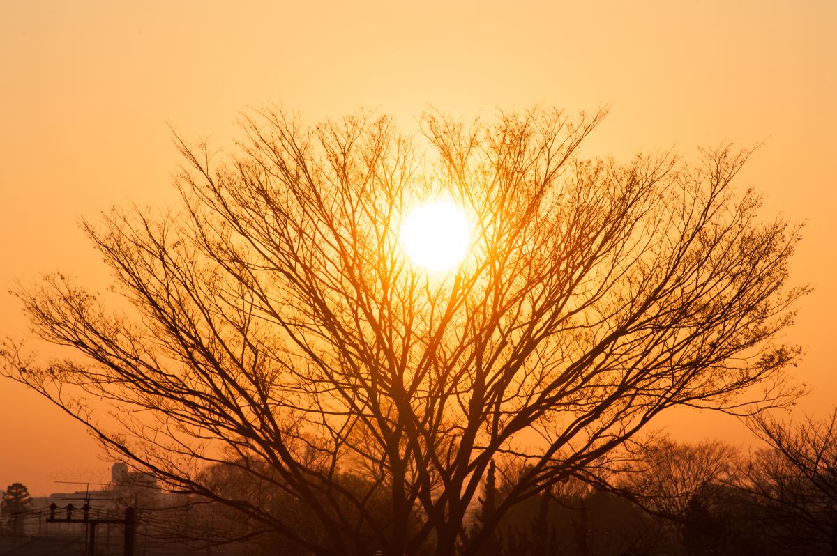 息吹 2014 | GANREF