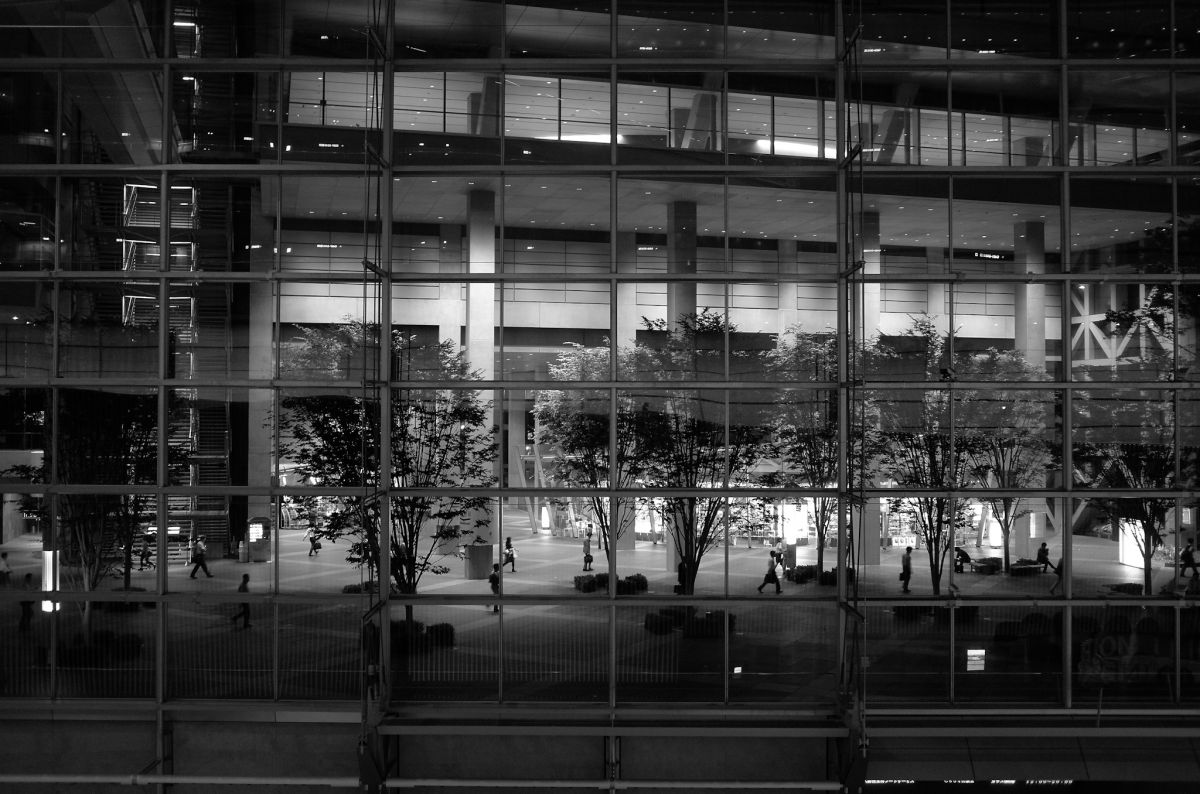 Tokio scene 2 -paradox- | GANREF