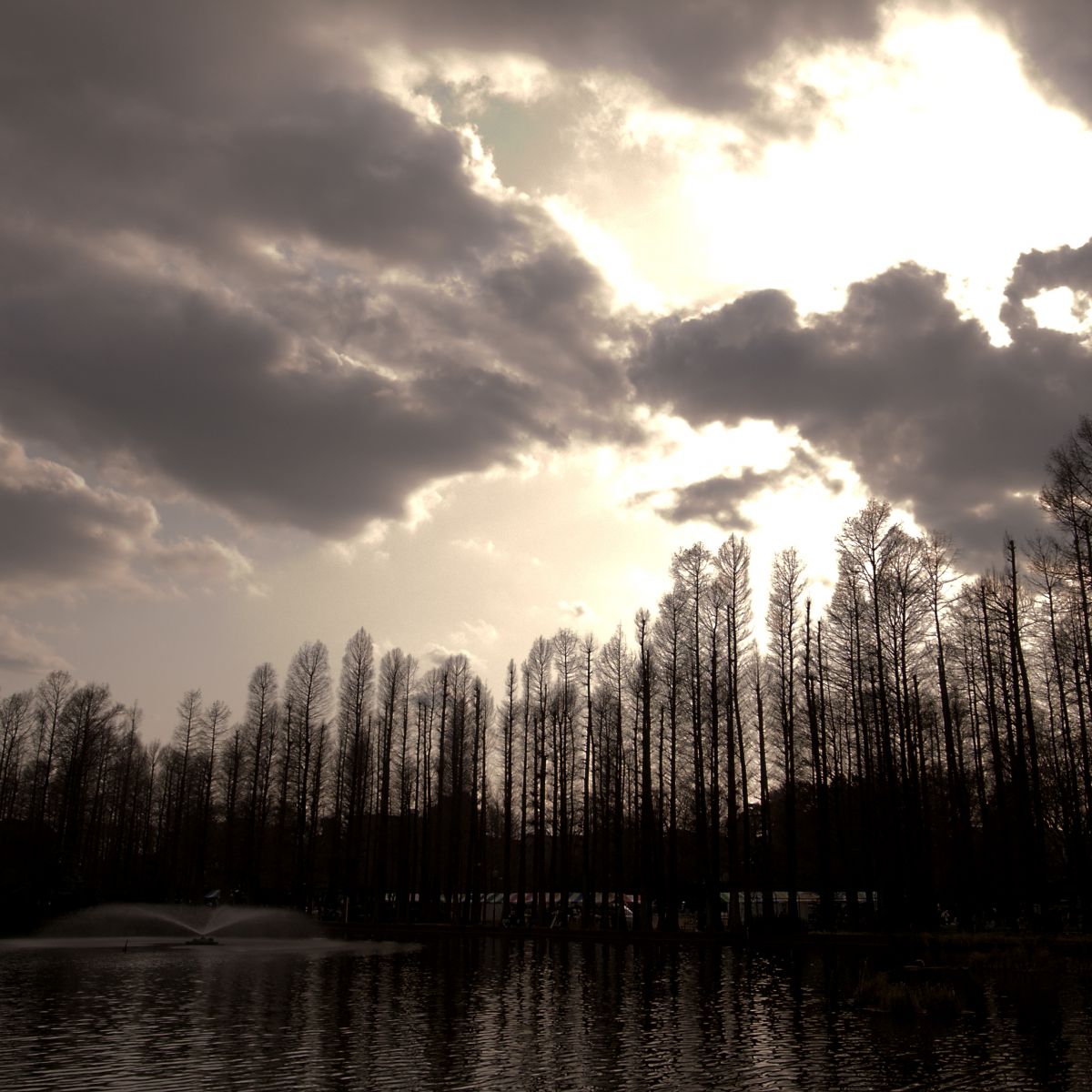 雨上がり。 | GANREF