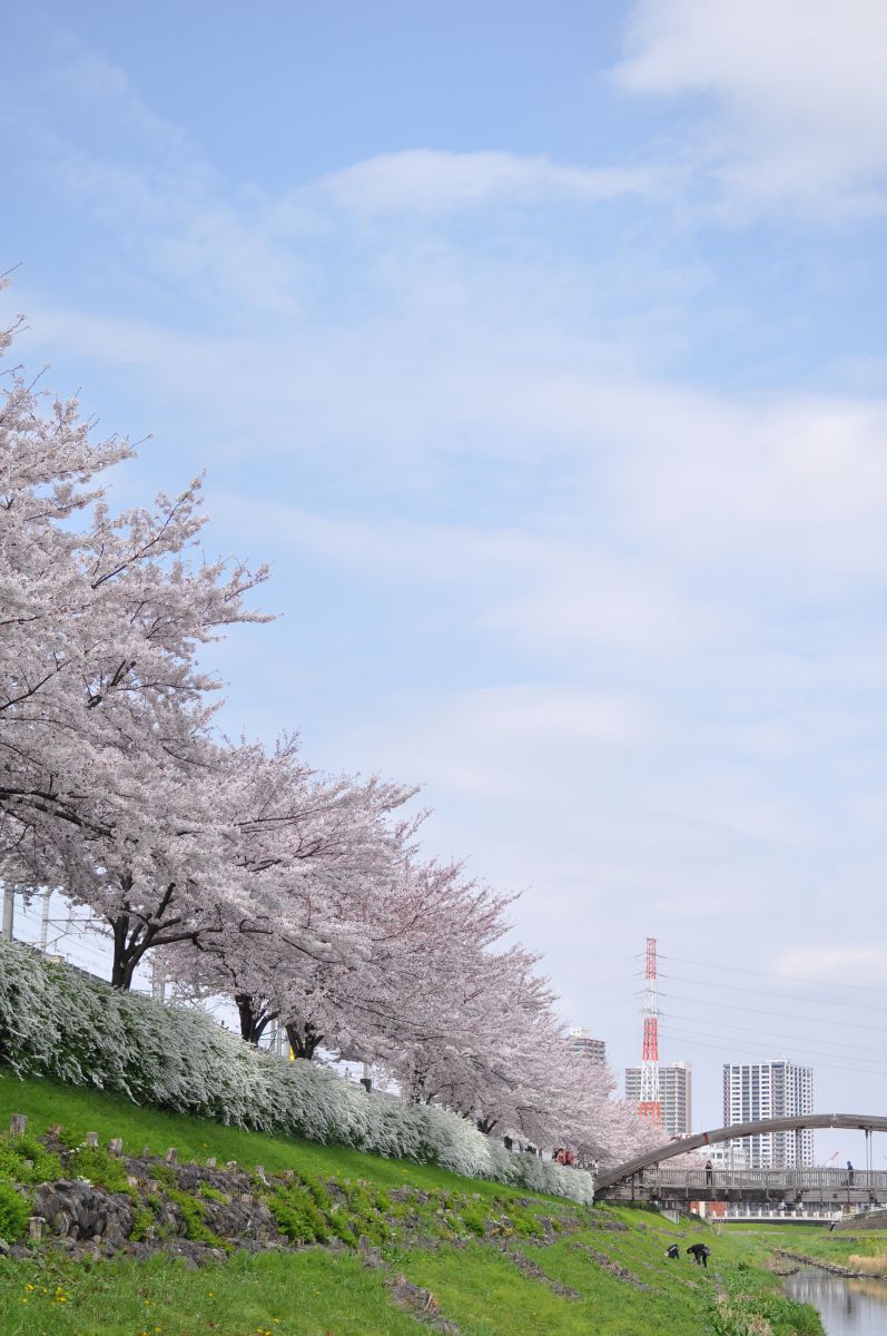 春うらら | GANREF