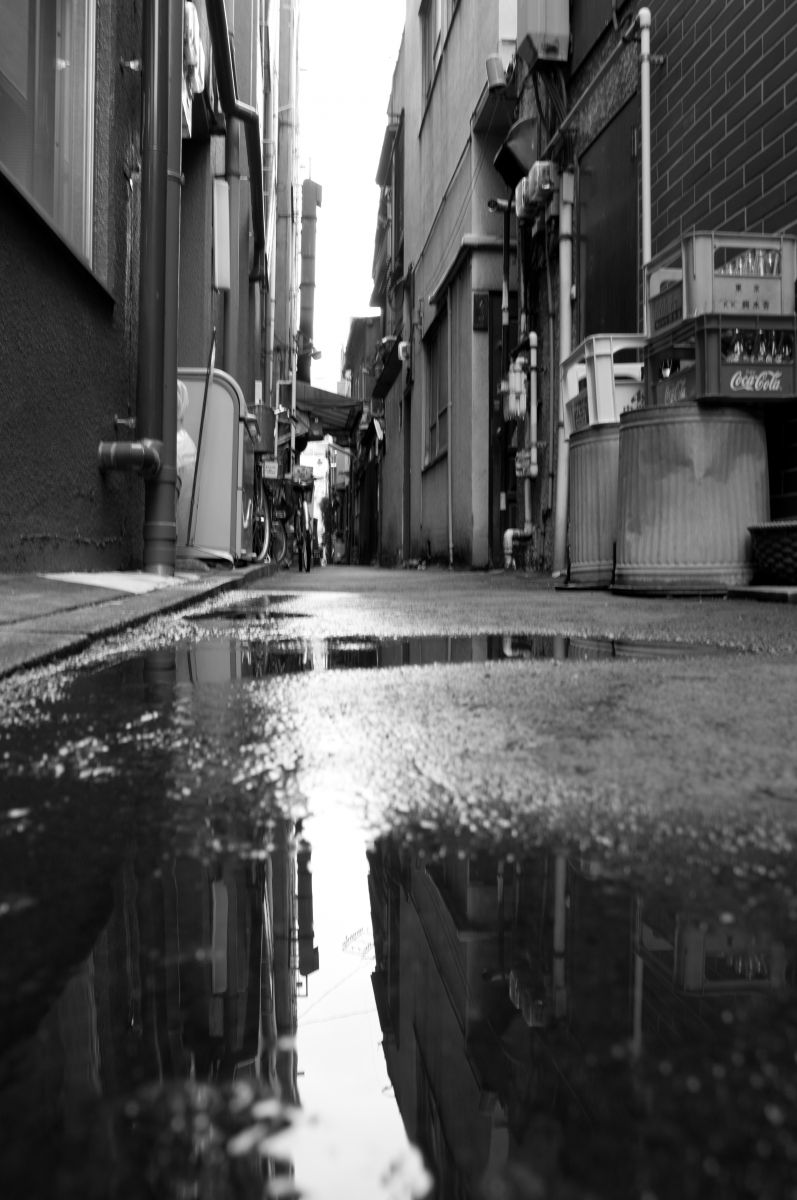 路地裏猫目線 | GANREF