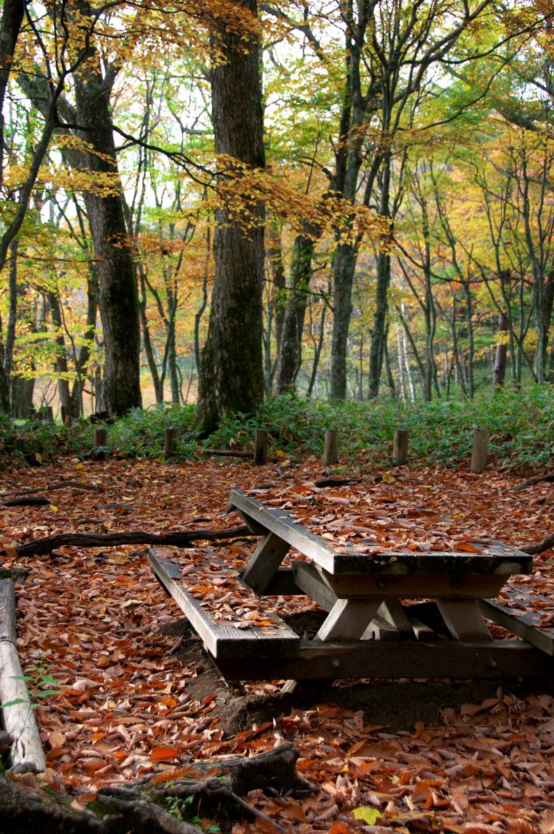 憩いの場．．． | GANREF