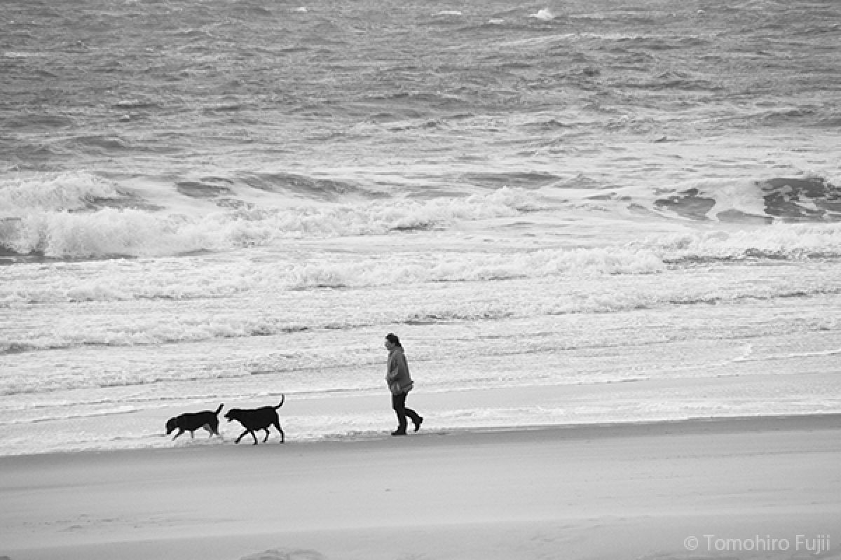 スヘーフェニンゲン・オランダ・2007・01 | GANREF