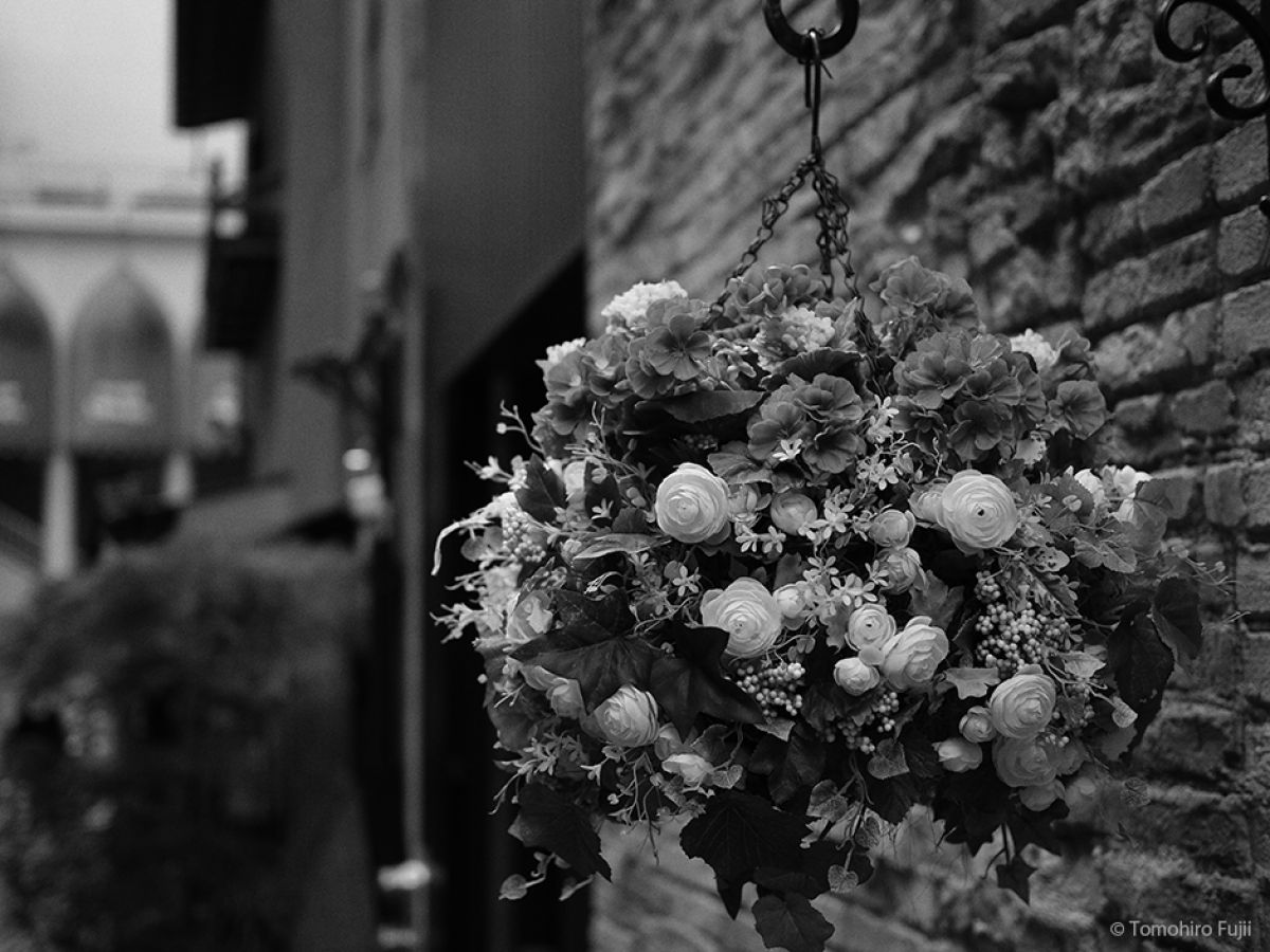 東京・日本・2015・012 | GANREF