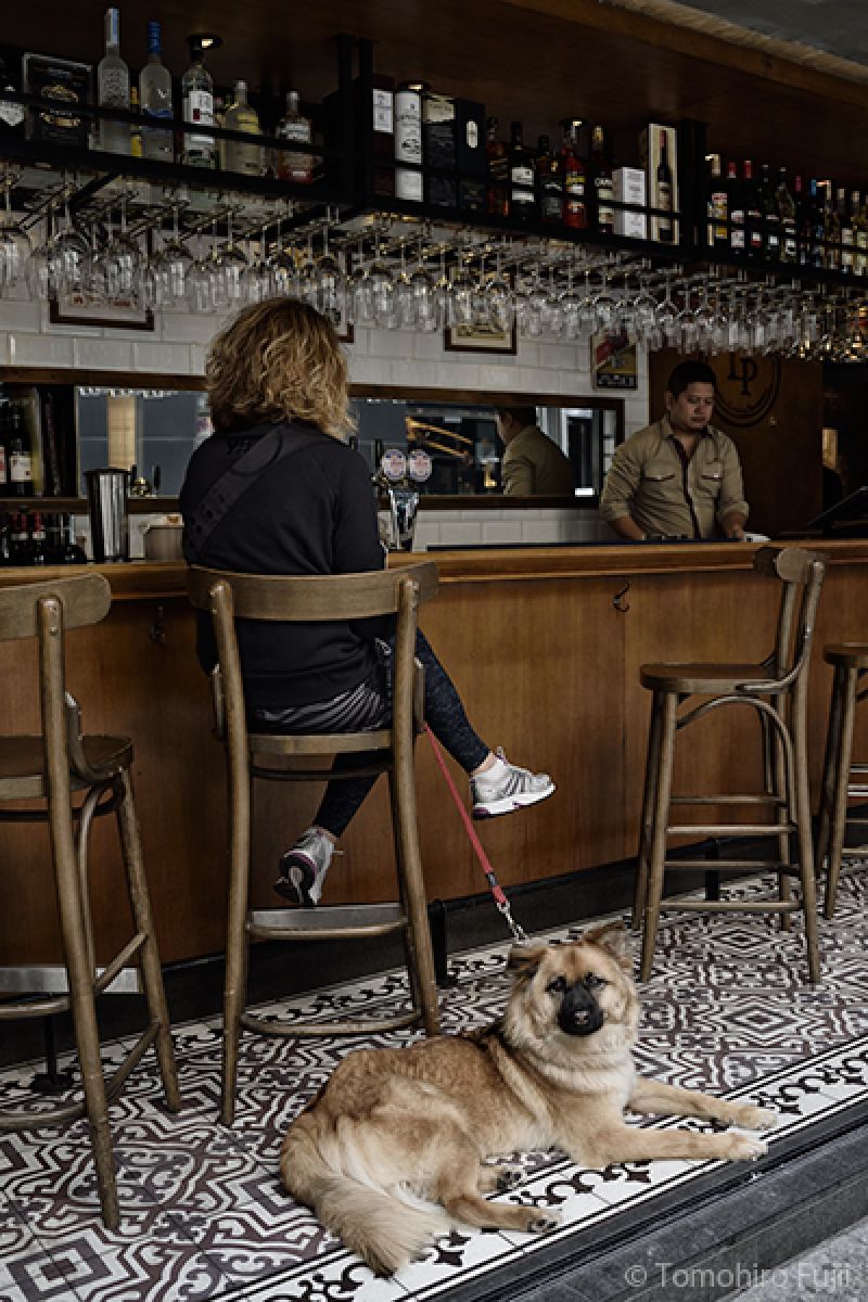 香港・2014・05 | GANREF