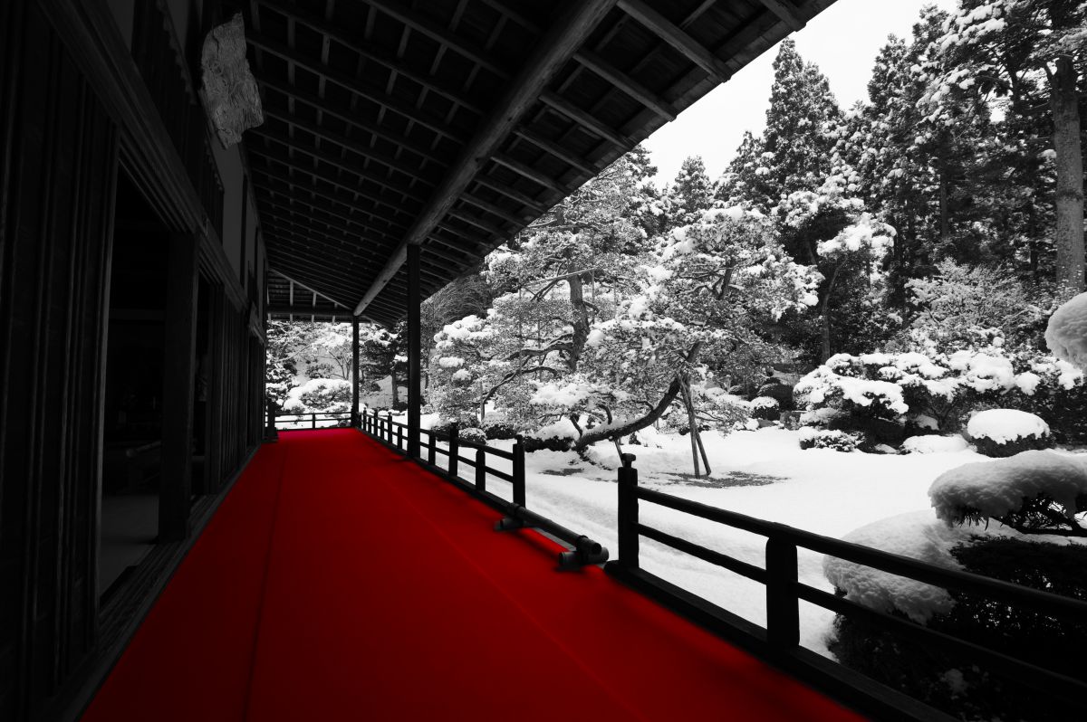 Le Rouge et le Noir | GANREF