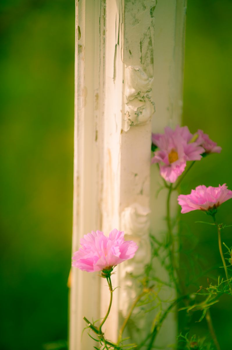 As Time Goes By | GANREF