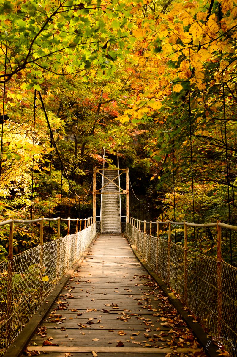 Autumn is on its way | GANREF