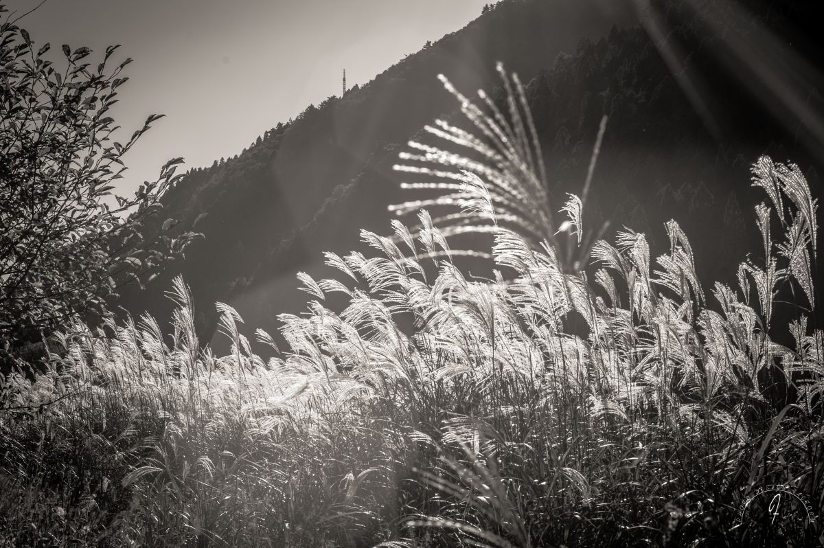 We only see what we know. | GANREF