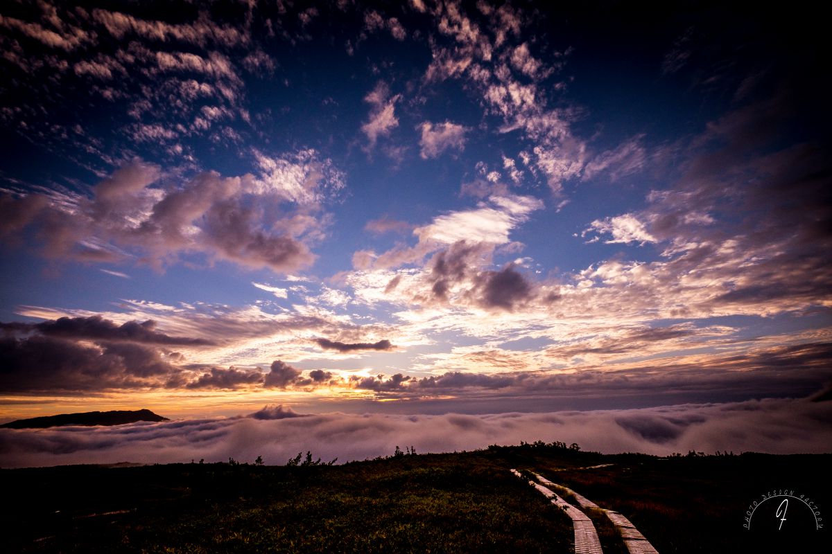 ending roll | GANREF