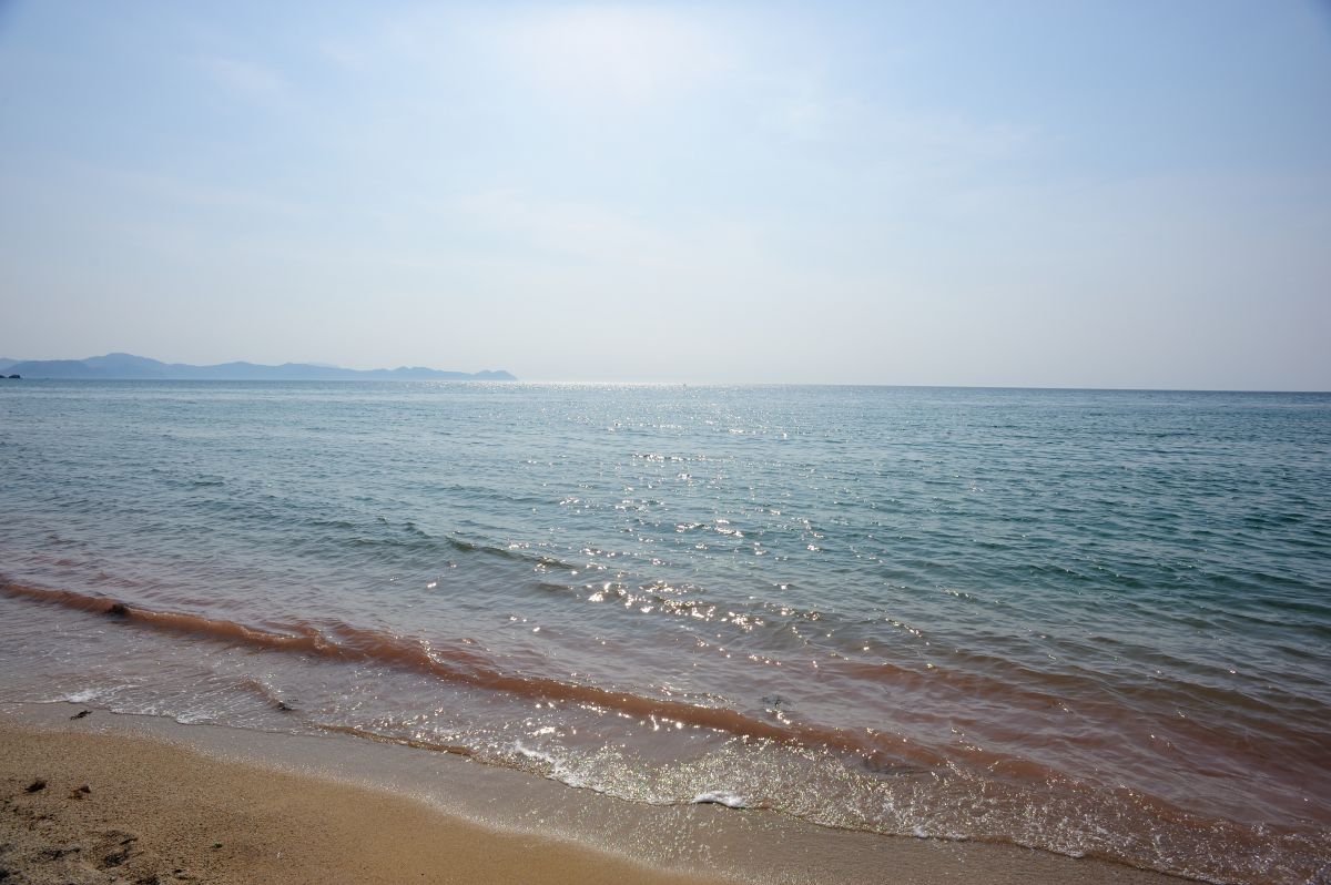 She sees the sea | GANREF