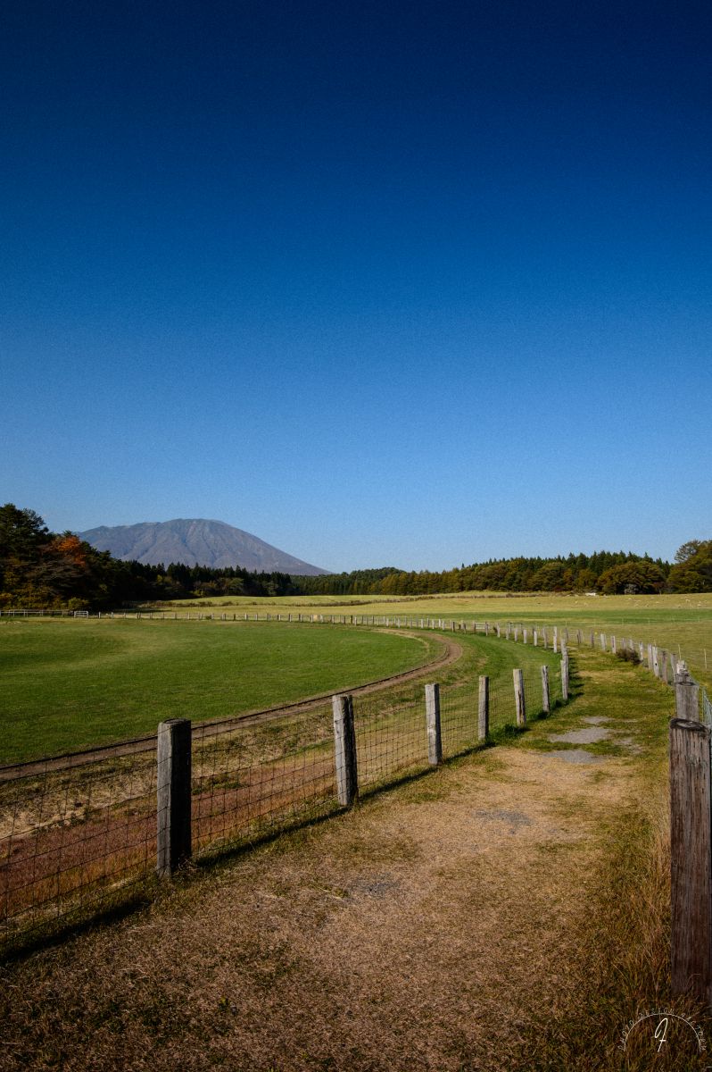 STANDING ALONE | GANREF