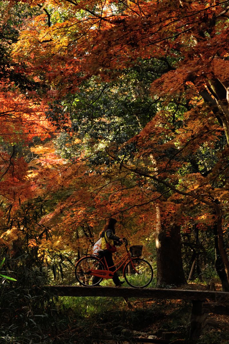 Walk, Don't Run | GANREF