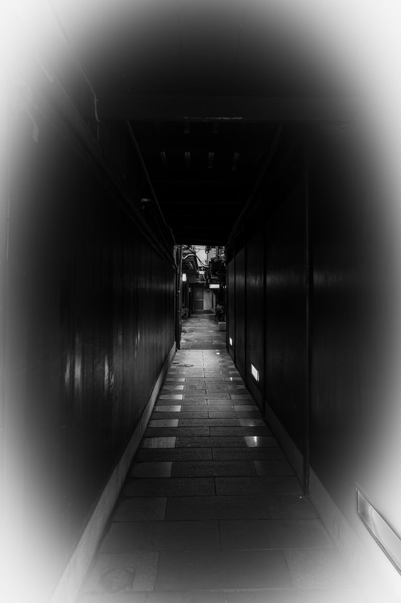 Different Dimension | GANREF