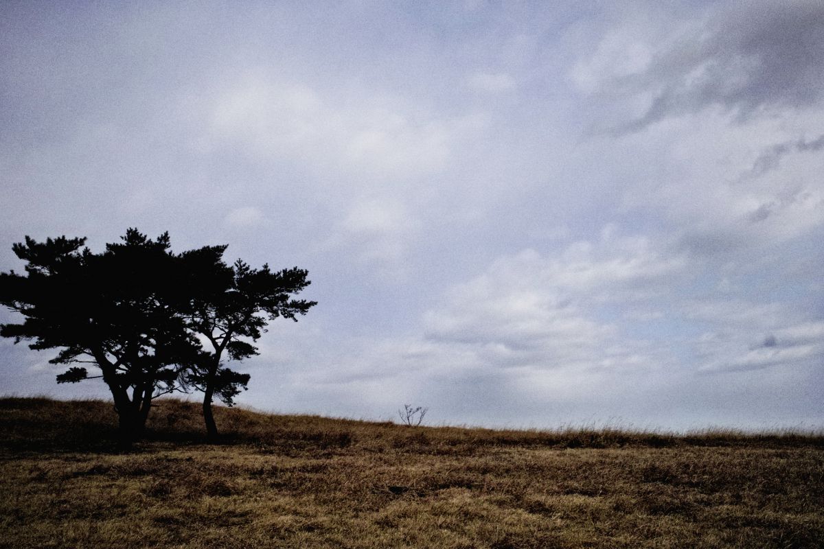 beyond the hill | GANREF