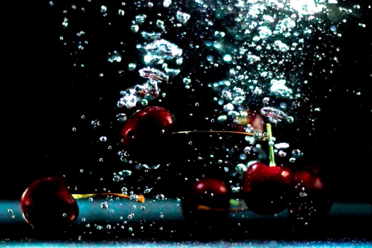 Cherry dance | GANREF