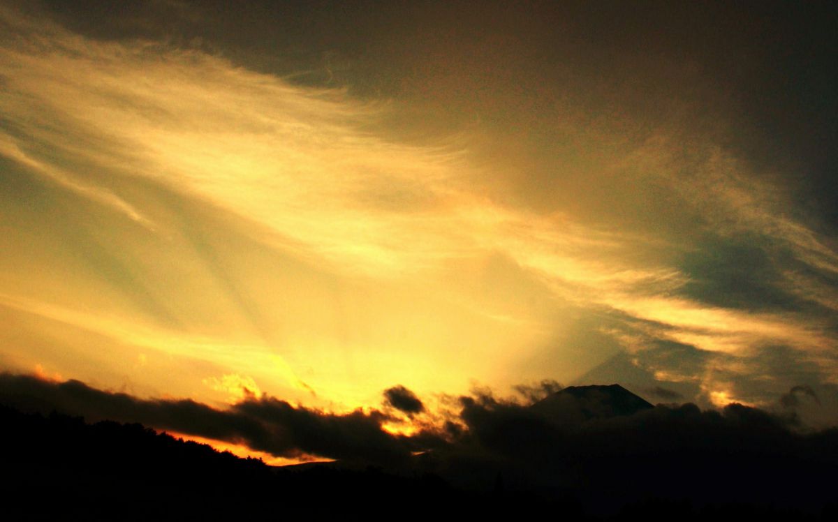 光と影 III | GANREF