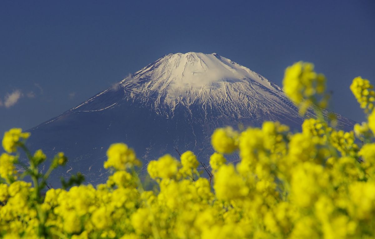 If winter comes､can spring be far behind | GANREF