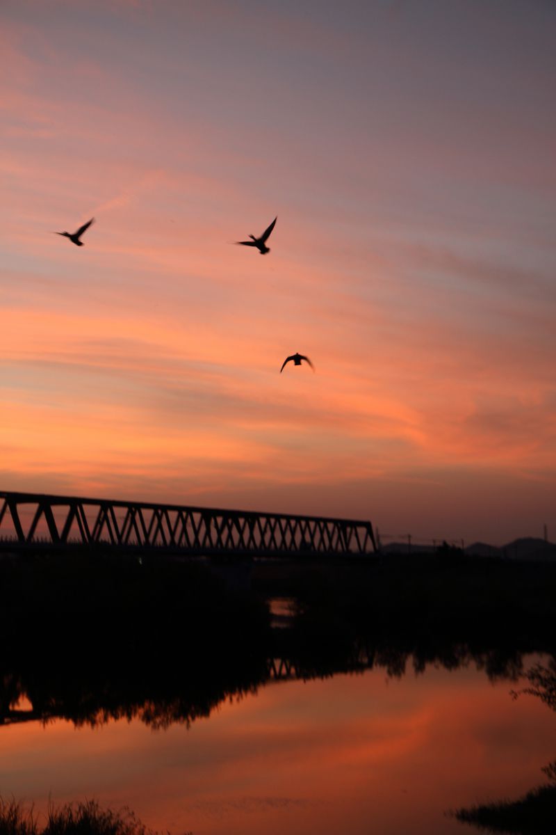 初秋の加古川 | GANREF