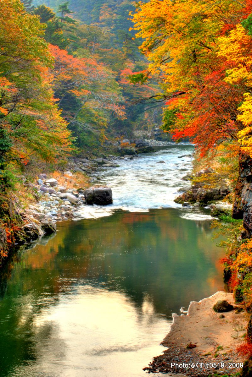 高瀬川渓谷の紅葉 | GANREF