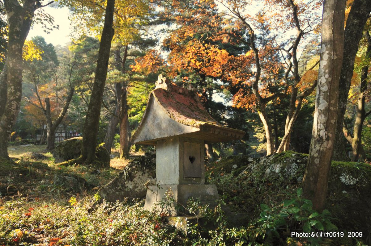 秘密の願い | GANREF