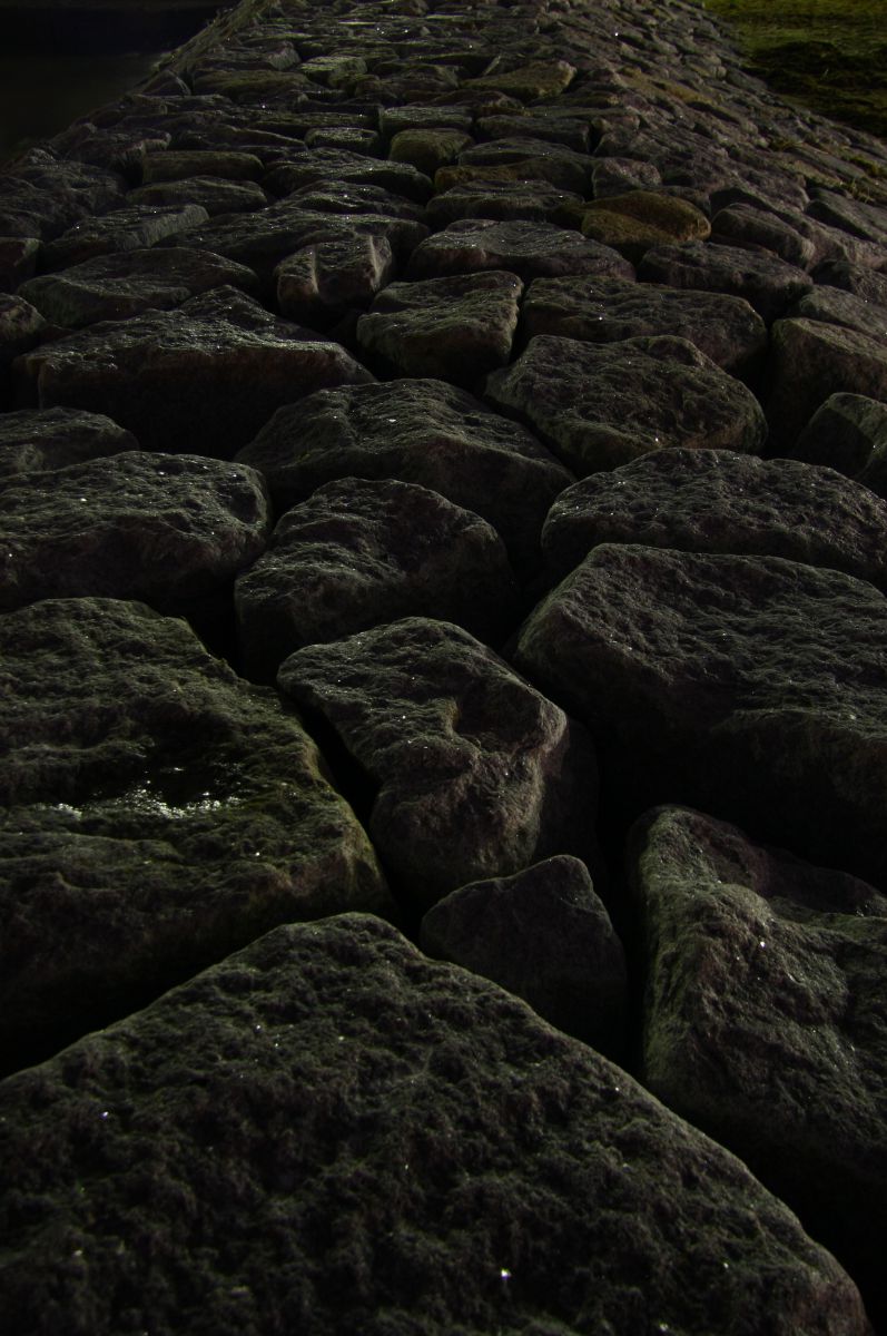 Night Walker | GANREF