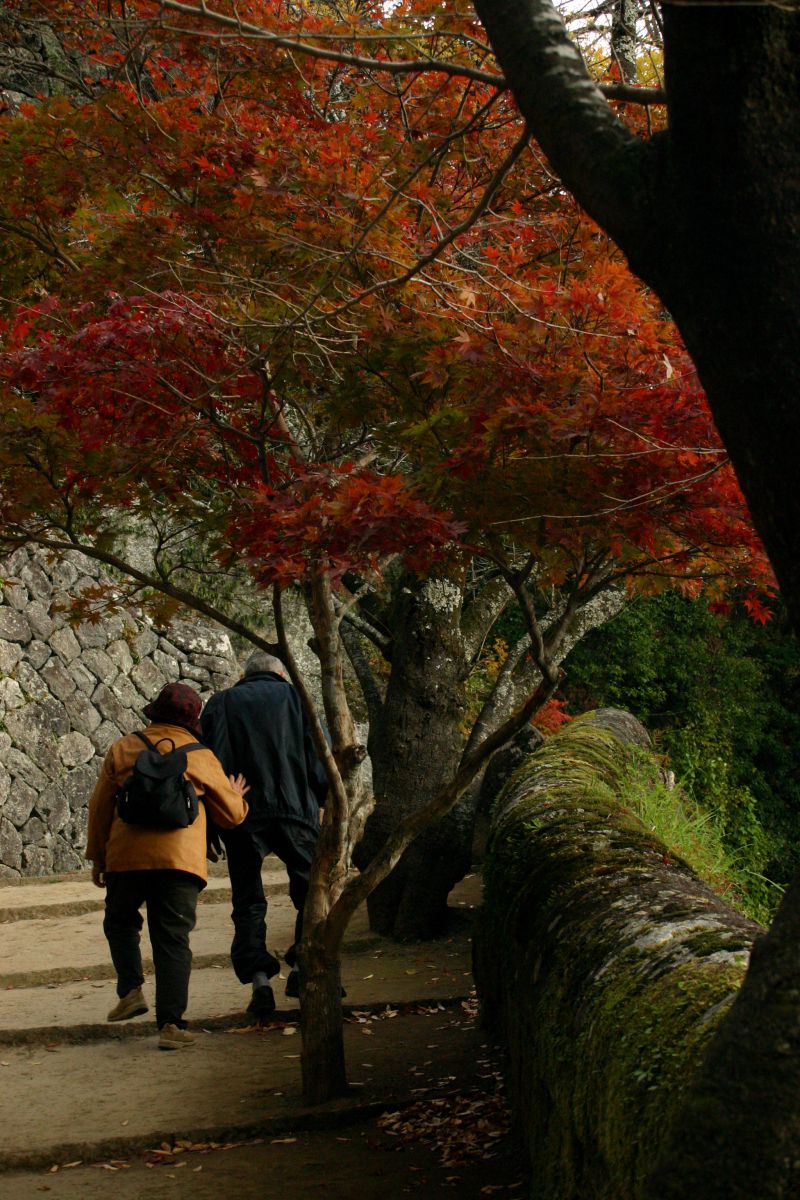 ふたり、往く道 | GANREF