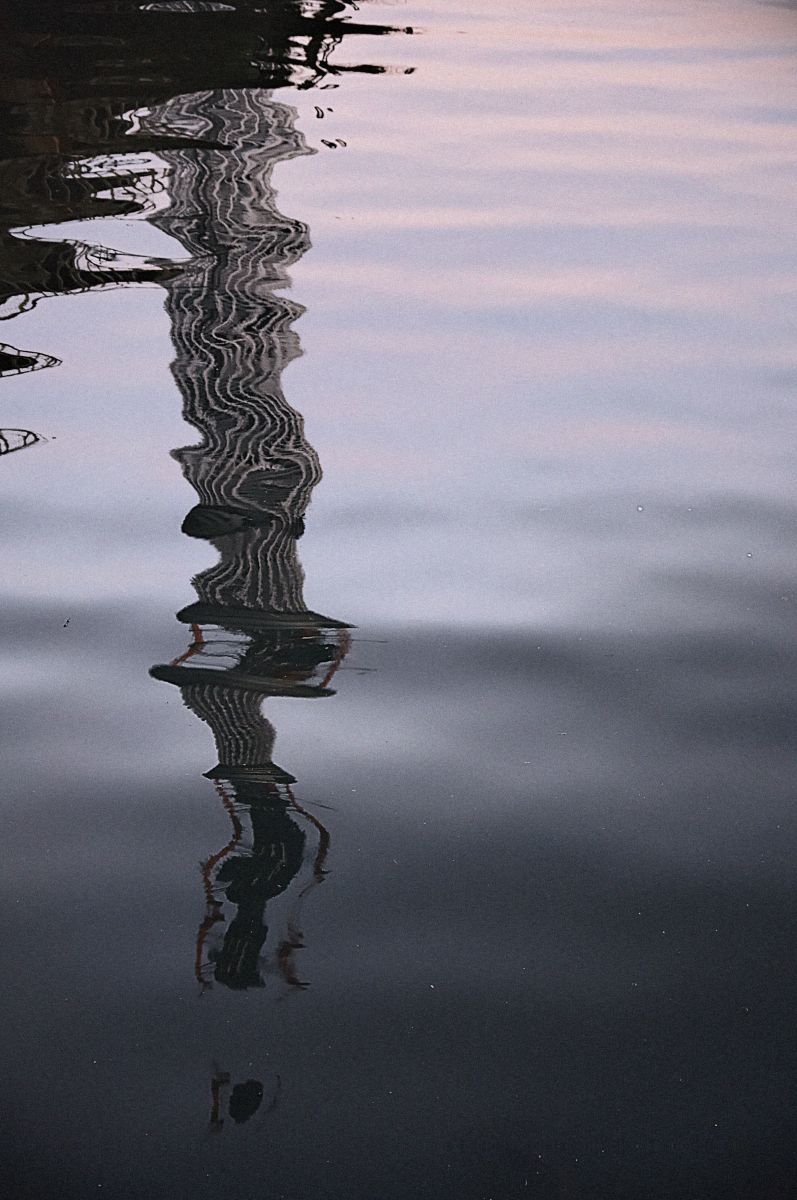 the dancing tree | GANREF