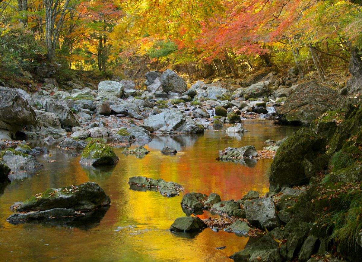 colors river | GANREF