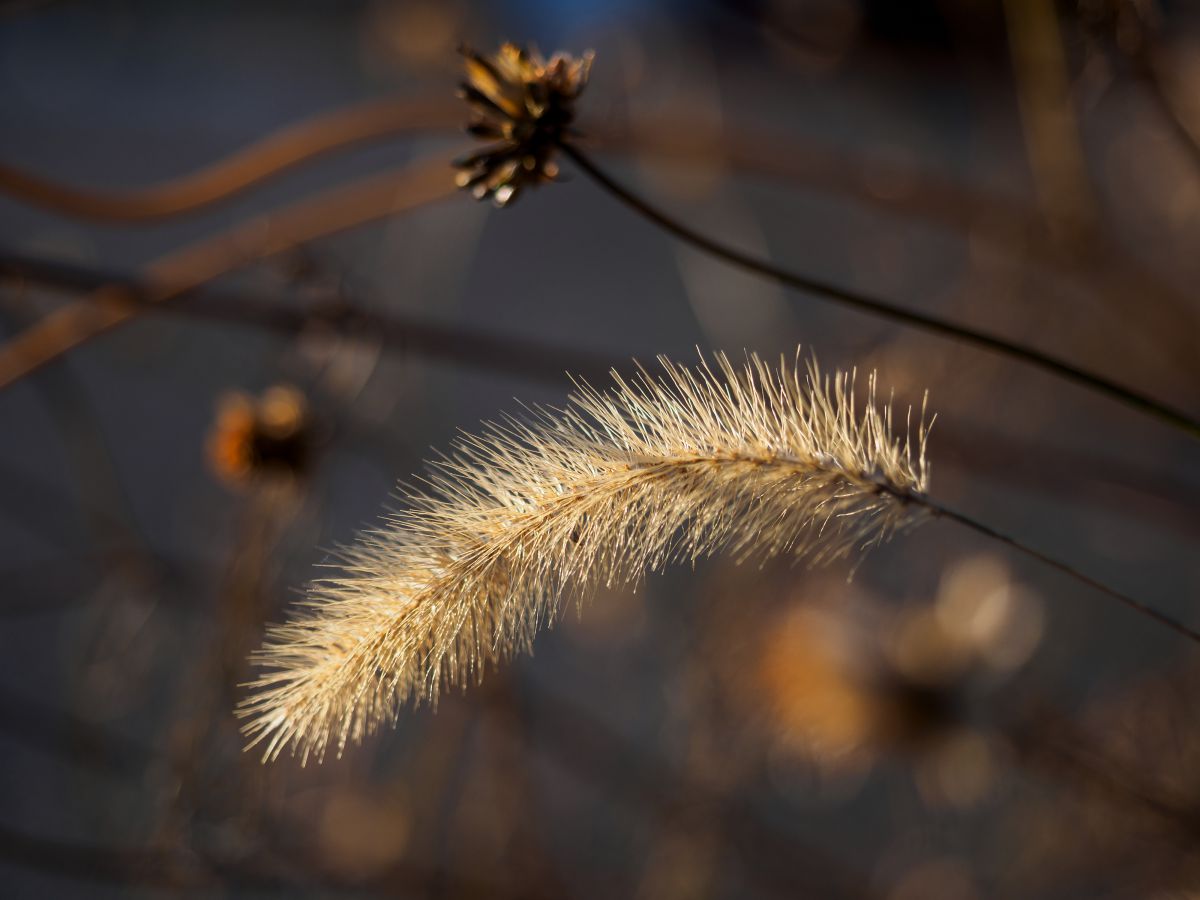 In a early winter morning | GANREF