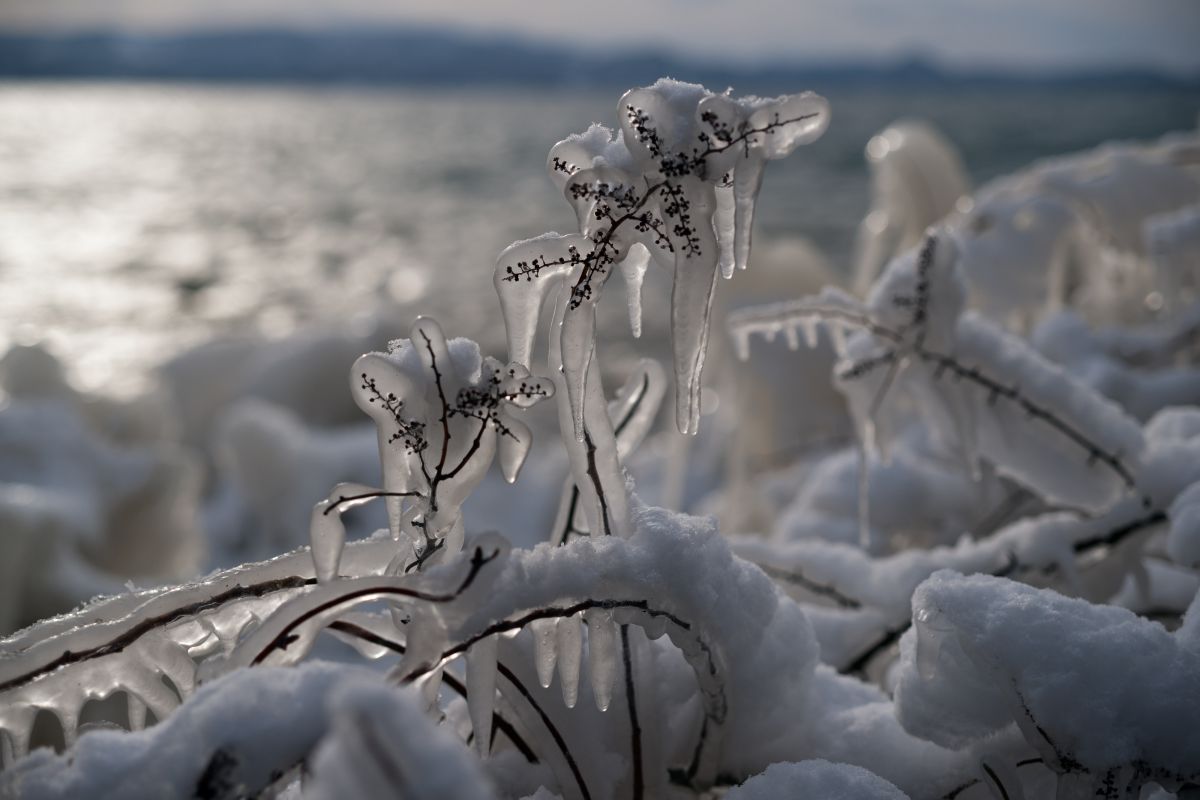 Frozen coast | GANREF