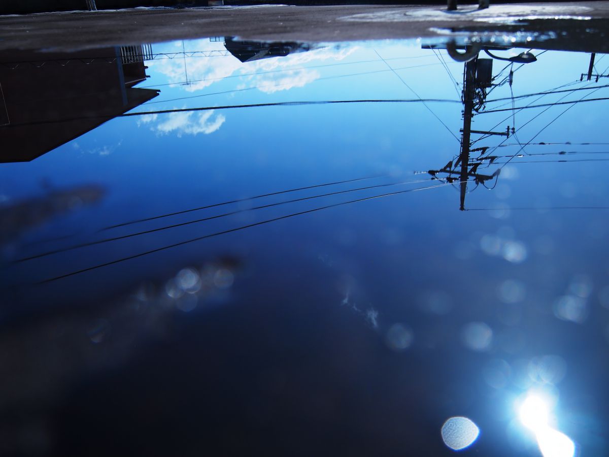 雨上がりの輝く午後 | GANREF