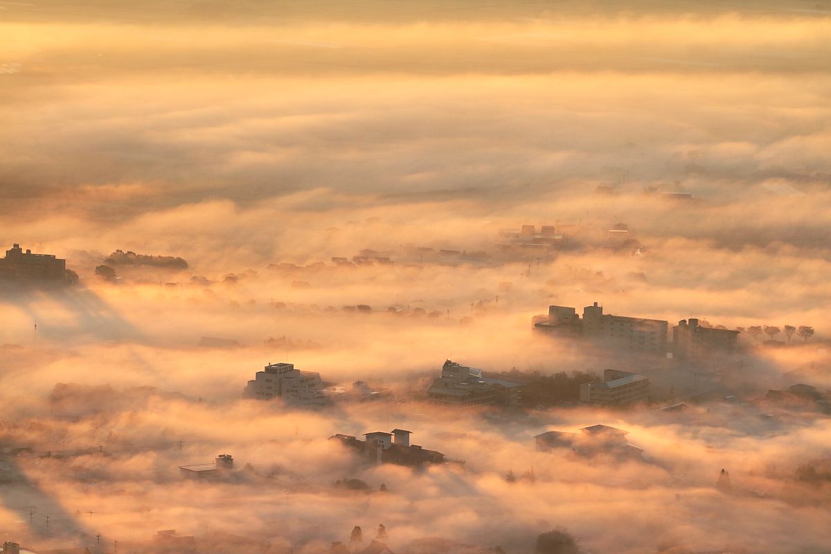 迫り来る波 | GANREF