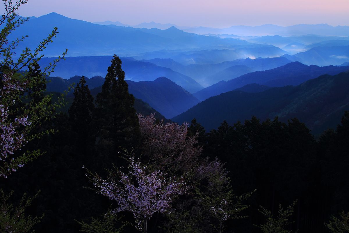 朝霧の吉野大奉 | GANREF