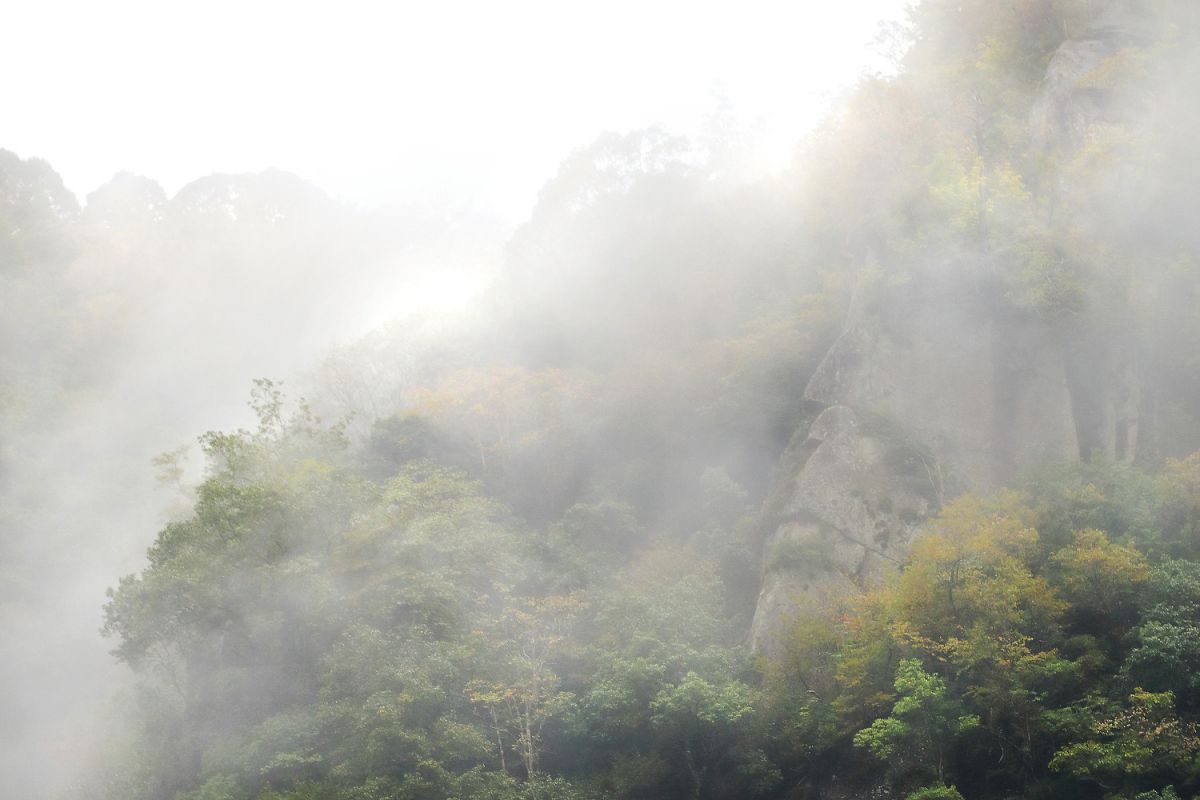 雨の耶馬溪 | GANREF