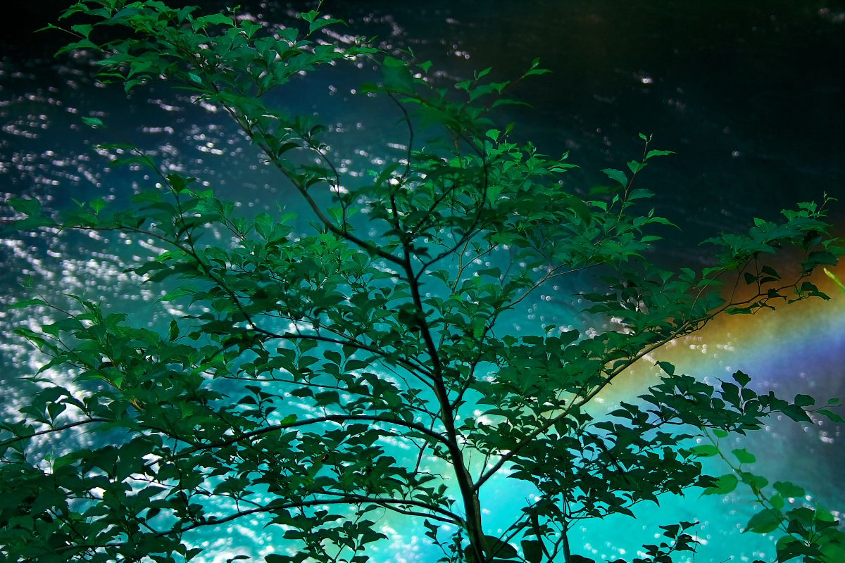 神秘の流れ | GANREF