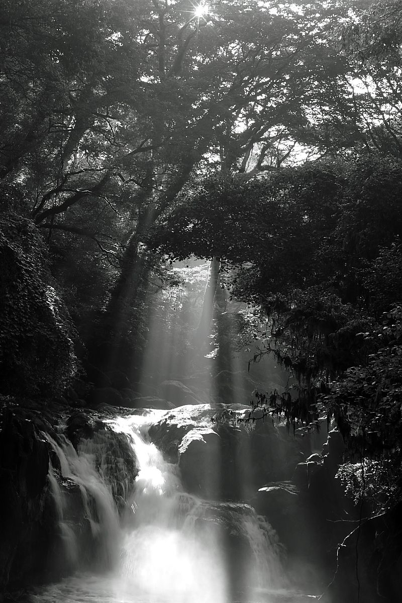 神の囁き | GANREF