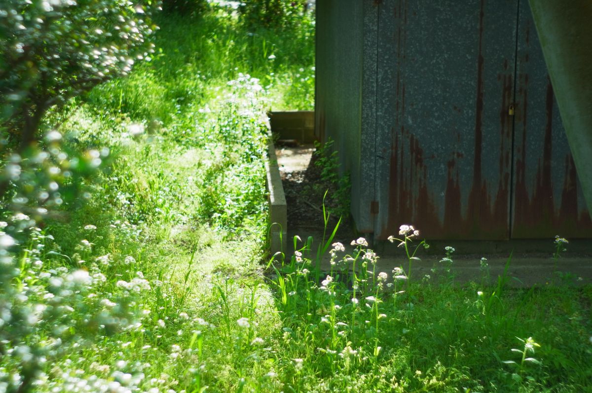 crowd around | GANREF