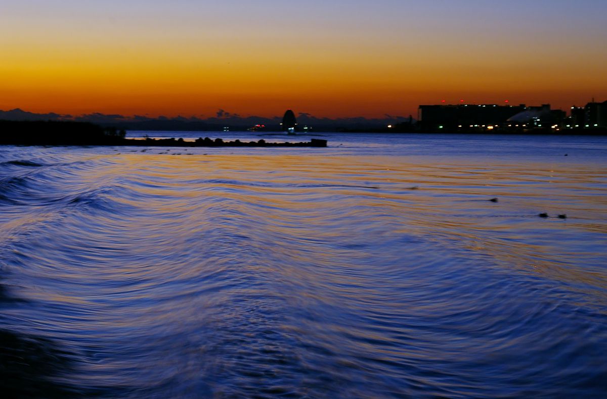 -Orange Wave- | GANREF