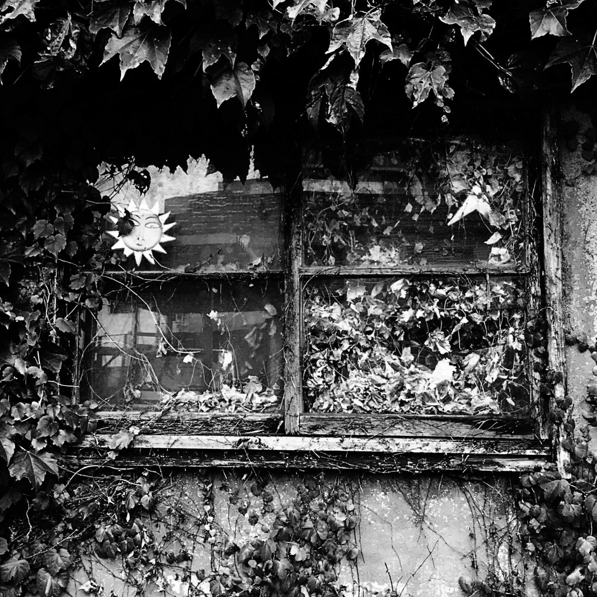 window | GANREF