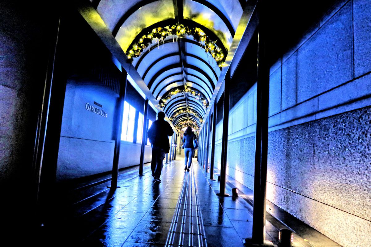 Blue Passage | GANREF