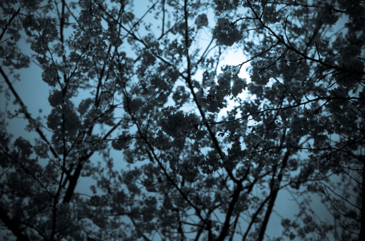 feel the approach of death #3 | GANREF