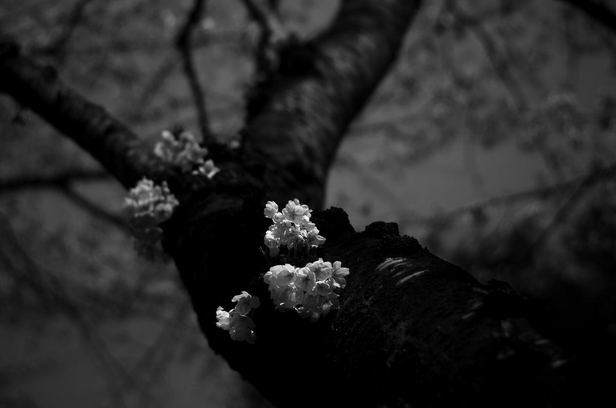 feel the approach of death #2 | GANREF