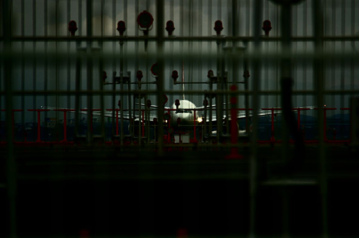 Bird in a cage | GANREF