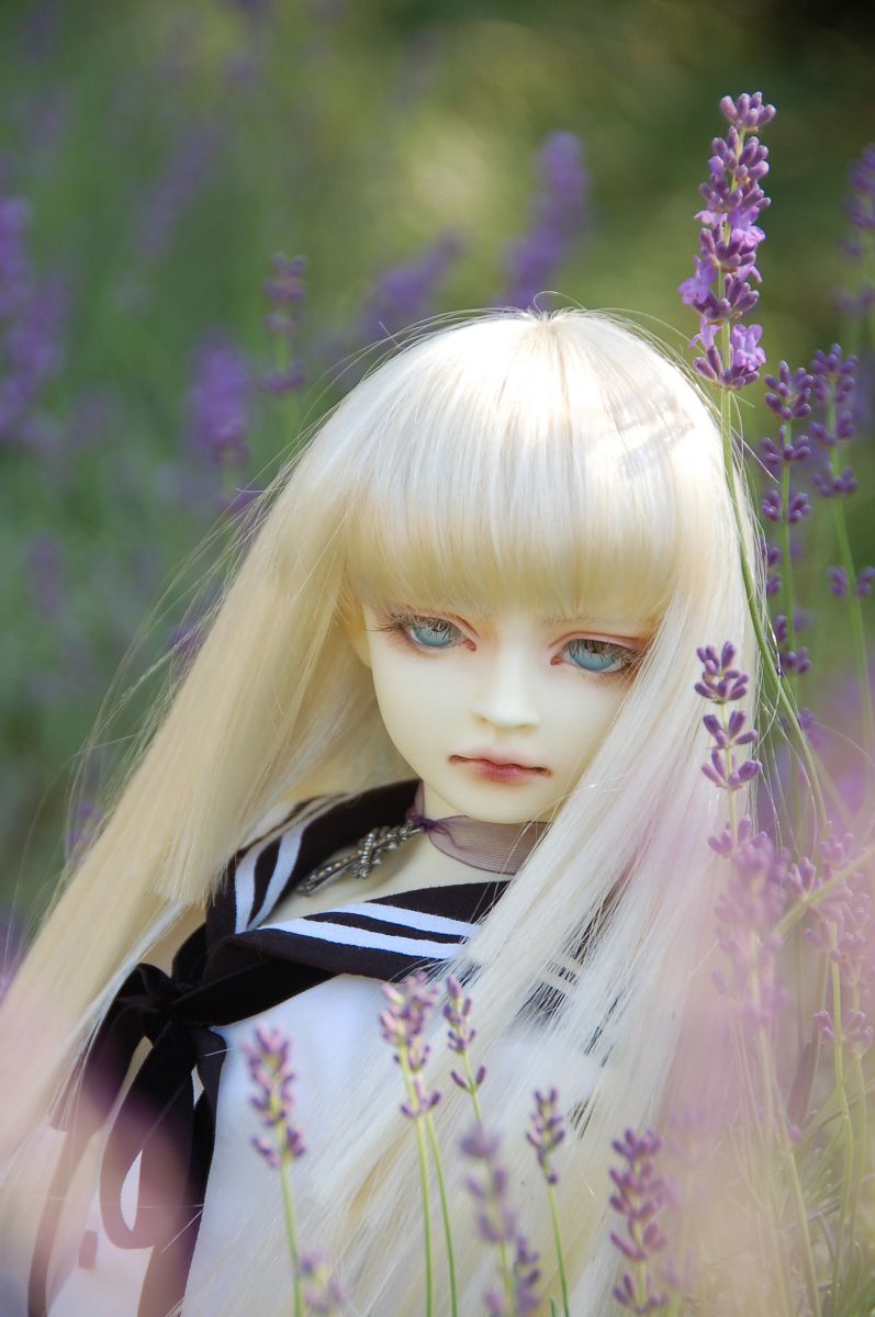 いつまでも | GANREF